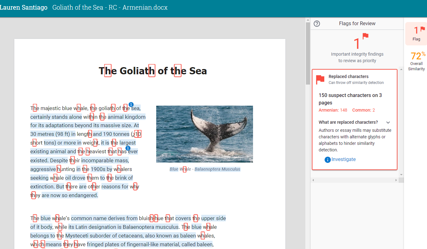 Flags in the classic Similarity Report – iThenticate Guides
