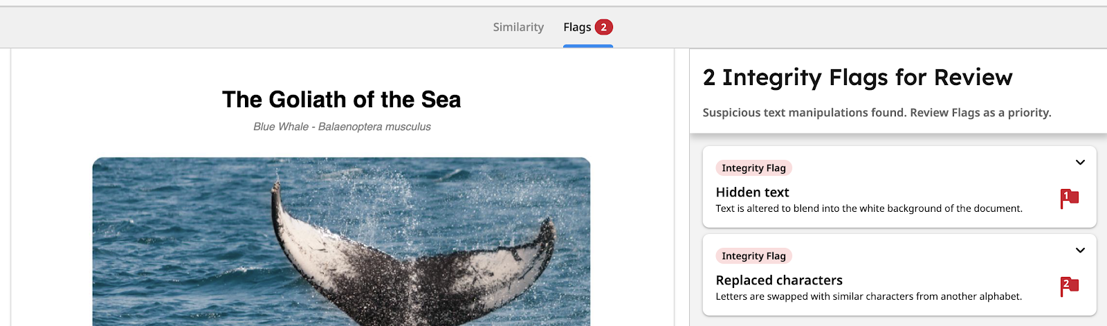 Integrity flags in the new Similarity Report – iThenticate Guides
